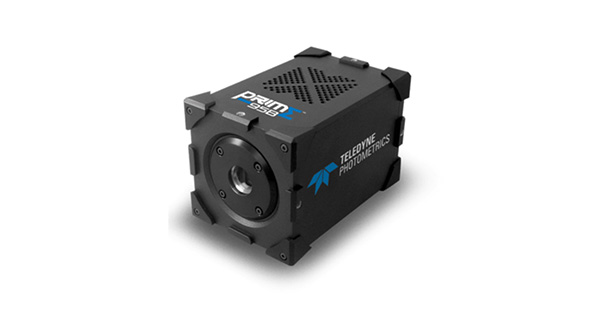 Optical Fiber Photometry | Teledyne Vision Solutions