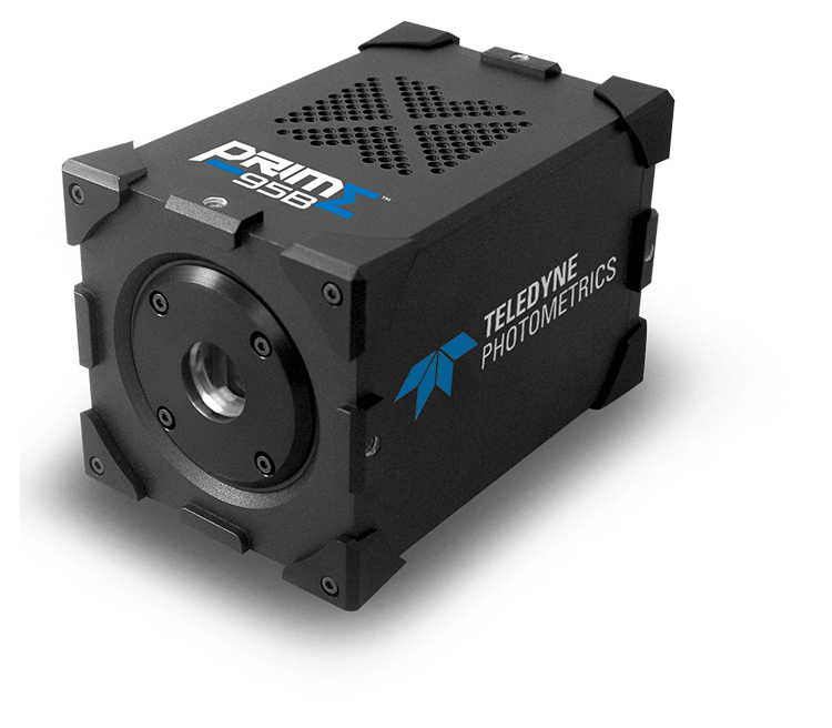 Prime 95B sCMOS for Spinning Disk Confocal Microscopy | Teledyne Vision ...