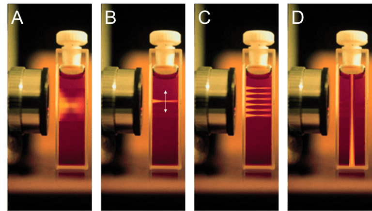 What Is Light Sheet Microscopy | Teledyne Vision Solutions