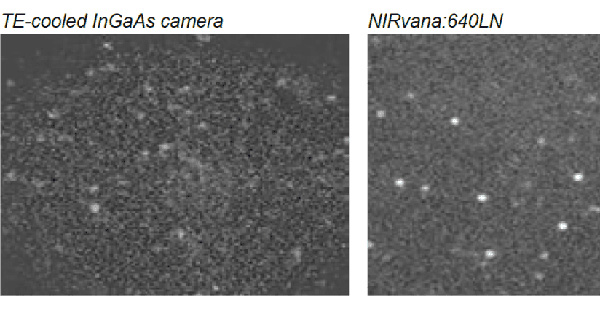 Spectral Imaging of Plasmonic Nano-Structures | Teledyne Vision Solutions