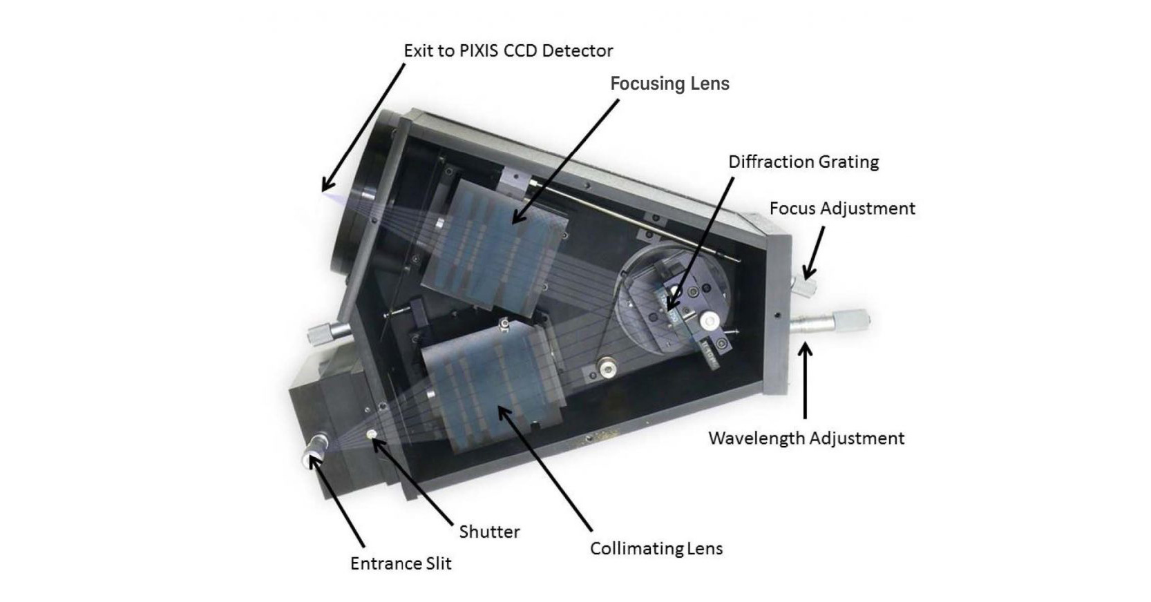 NIR Spectroscopy Aids in the Diagnosis of Neonatal Brain Injury ...