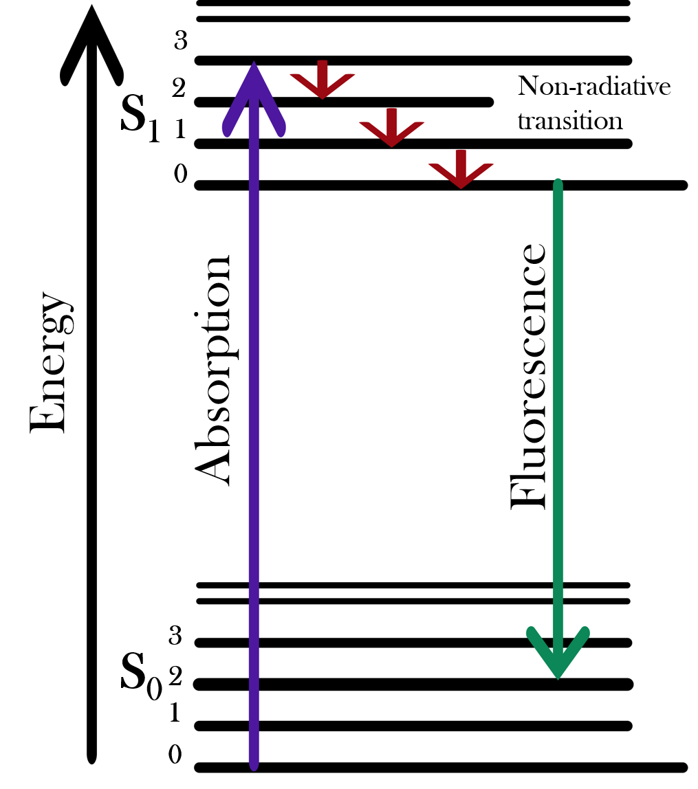 Fluorescent Decay | Teledyne Vision Solutions